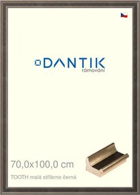 DANTIK rámeček 70x100 | TOOTH malá stříbrno černá (Plexi Čiré)