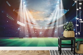 Fototapeta Stadion Fotbalových Superstars Strukturální vinyl 90x60