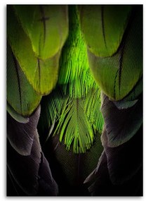Gario Obraz na plátně Zelené peří Rozměry: 40 x 60 cm