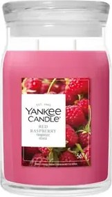Yankee Candle Signature Red Raspberry velká sklenice 567g / doba hořen