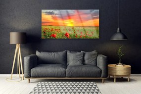 akrylový obraz Máky Slunce Rostlina Příroda 120x60 cm