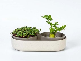 Velká farma Microgreens+Regrow - slonová kost