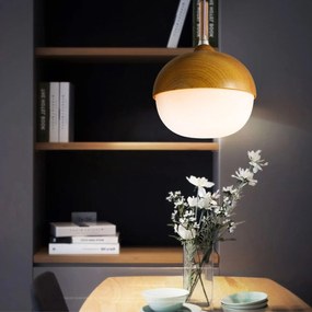 Toolight - Stropní svítidlo E27 60W APP951-1CP, hnědá-bílá, OSW-06685