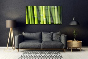 akrylový obraz Bambus Příroda Rostlina 120x60 cm