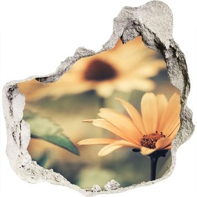 Wallmuralia Samolepící díra na stěnu Jarní květiny 75x75 cm