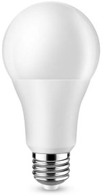 BERGE LED žárovka ecoPLANET - E27 - A60 - 15W - 1500Lm - studená bílá