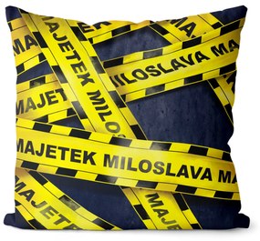 Polštář Majetek + jméno - mužská jména (Velikost: 40 x 40 cm, Jméno: Miloslav)