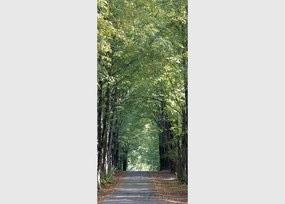 Vliesová fototapeta na zed' Stromová Alej | 202 x 90 cm | DFTNV2807