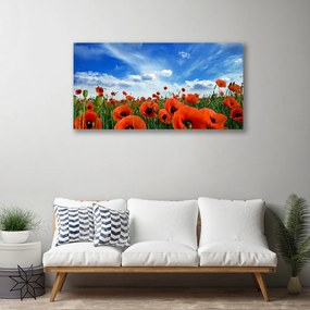 Obraz na plátně Louka Máky Květiny 100x50 cm