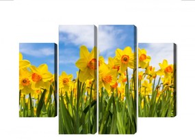 Vícedílný obraz 3D Pole Narcisů Nedostatek Nedostatek Plátno Canvas 160x120