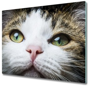 Skleněná krájecí deska Zelená kočka má oči