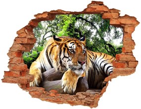 Wallmuralia Díra 3D fototapeta na stěnu Tygr na skále 90x70 cm