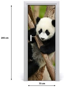 Samolepící fototapeta na dveře Panda na stromě 75x205 cm