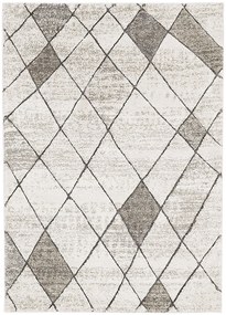 Koberce Breno Kusový koberec CASTRO Carved 4928/NQ2A, Vícebarevné, 120 x 170 cm