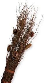 Větve sušené se šiškami - přírodní materiál - ii. jakost