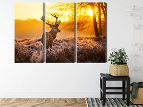 Vícedílný obraz Jelen V Lese Při Západu Slunce 3D Nedostatek Nedostatek Přírodní plátno 150x100