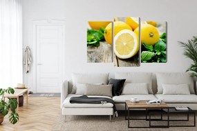 Vícedílný obraz Citron S Mátou Nedostatek Nedostatek Plátno Canvas 90x60