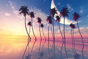 Tapeta západ slunce nad tropickými palmami - 225x150 cm