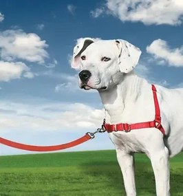 PetSafe EasyWalk Postroj červená - velikost M