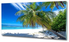 Wallmuralia Foto obraz sklo tvrzené Tropická pláž 100x50