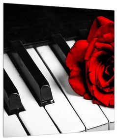 Obraz růže a klavíru (40x40 cm)