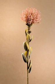 Paramit DRY SMALL PROTEA Aranžovací květina růžová 61 cm