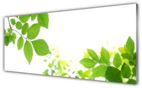 akrylový obraz Plátky Rostlina Příroda 125x50 cm
