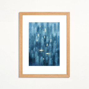 Linh Dao | Ryby Rám: Dubový, Velikost: 30 x 20 cm