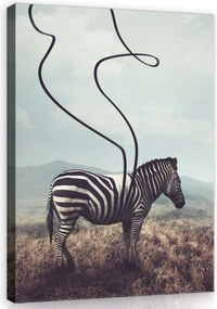 Obraz 75x100 Zebra černobílé pruhy abstrakce surrealismus tajemno