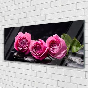 Plexisklo-obraz Růže Kameny Zen Lázně Příroda 125x50 cm