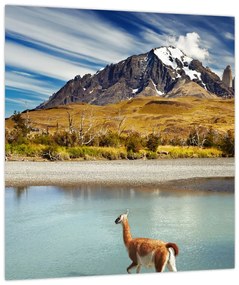 Obraz - Národní park Torres del Paine (30x30 cm)