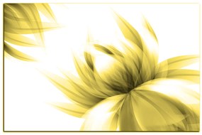 Obraz na plátně - Elegantní květ 1147ZA (90x60 cm  )