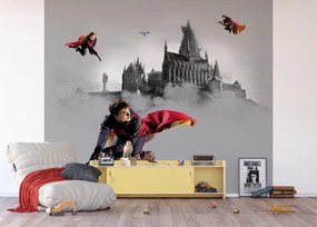 Dětská vliesová fototapeta na zed' Harry Potter Famfrpálové Trio | 300 x 270 cm | DDTD4P5095