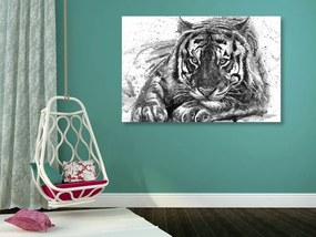 Obraz predátor zvířat v černobílém provedení - 120x80 cm