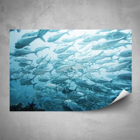 Plakát - Hejno ryb (60x40 cm) - PopyDesign