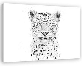 Gario Obraz na plátně Velká leopardí hlava - Rykker Rozměry: 60 x 40 cm