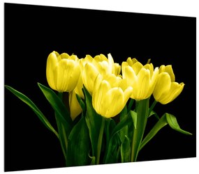 Obraz žlutých tulipánů (70x50 cm), 40 dalších rozměrů