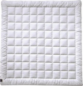 XXXLutz LETNÍ PŘIKRÝVKA, 200/200 cm, hedvábí Billerbeck - Přikrývky - 003279074803