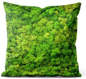Dekorační velurový polštář Lesní koberec - rostlinná kompozice s bohatým detailním mechem z mikrovlákna