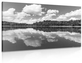 Obraz příroda v letním období v černobílém provedení Varianta: 60x40