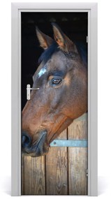 Fototapeta samolepící na dveře stáj kůň 75x205 cm