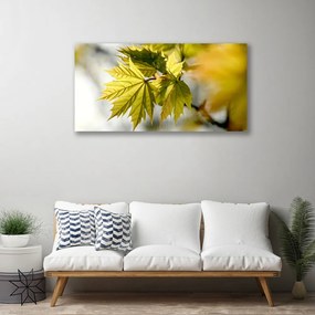 Obraz na plátně Listy Rostlina 120x60 cm