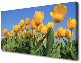Obraz na plátně Tulipány Květiny Rostlina 140x70 cm