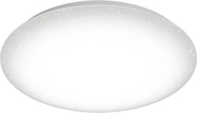Philips - LED Stropní svítidlo LED/20W/230V 4000K