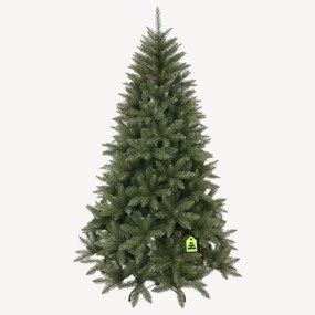 Smrk Kavkazský 150 cm