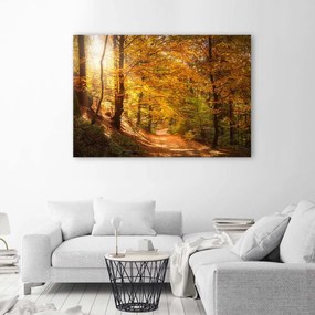 Gario Obraz na plátně Listy na lesní cestě Rozměry: 60 x 40 cm