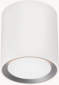 Stmívatelné stropní LED svítidlo Landon