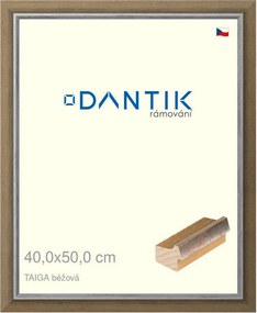 DANTIK rámeček 40x50 | TAIGA béžová (Sklo Čiré)