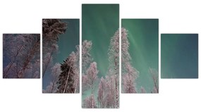 Obraz polární záře nad zmrzlými stromy (125x70 cm)