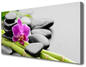 Obraz na plátně Bambus Květ Kameny Umění 125x50 cm